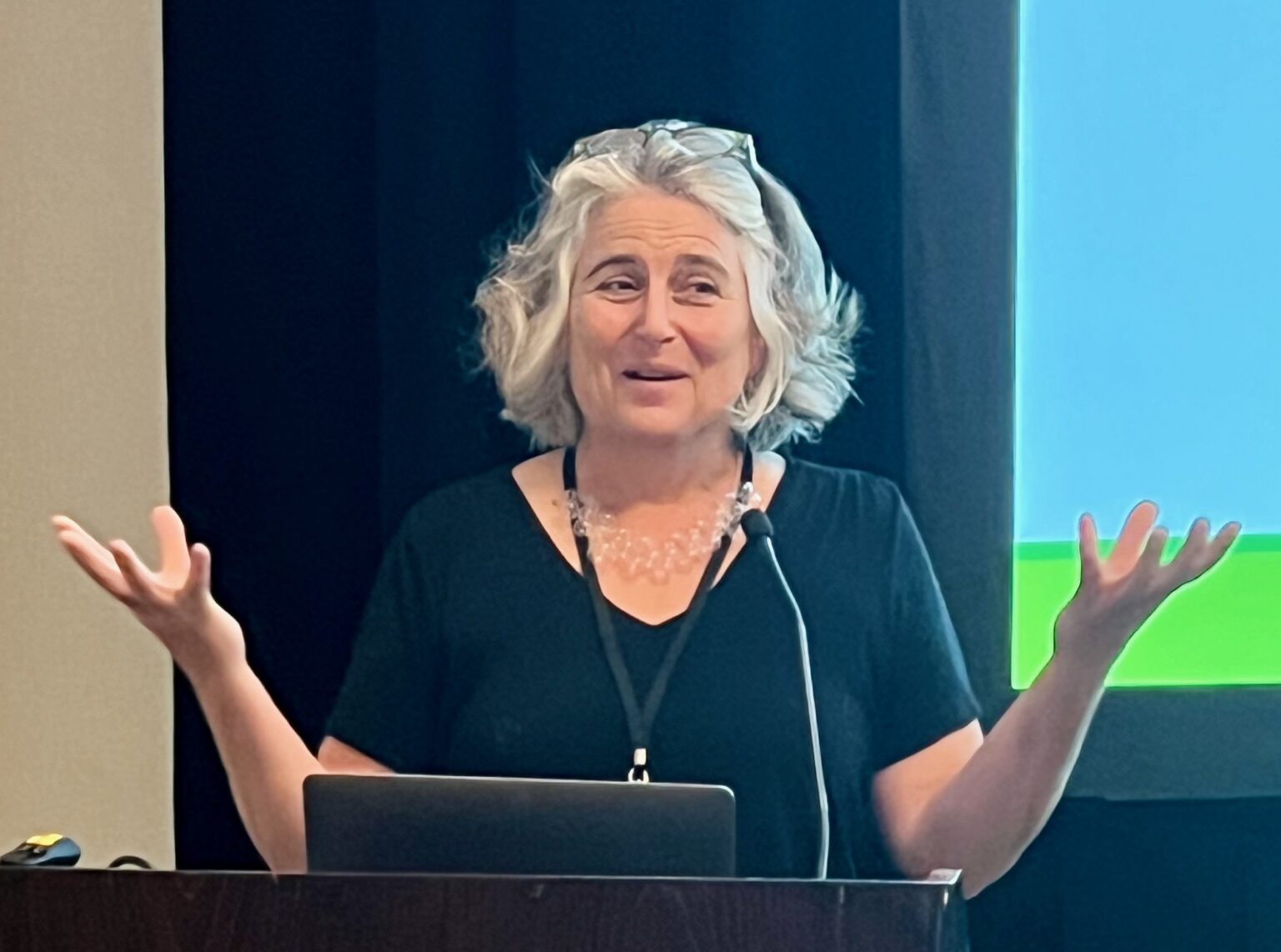 2025 PRS Annual Meeting - Perinatal Research Society